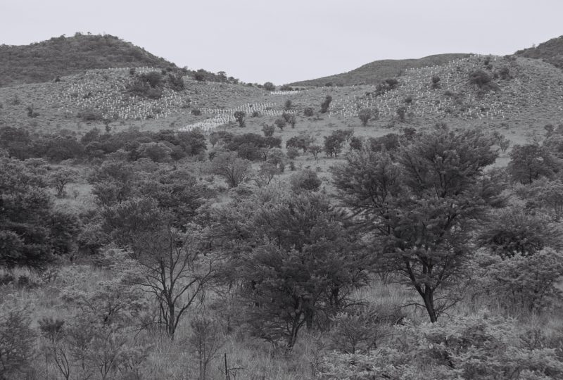 Farm Murder Landscape - Walther Collection